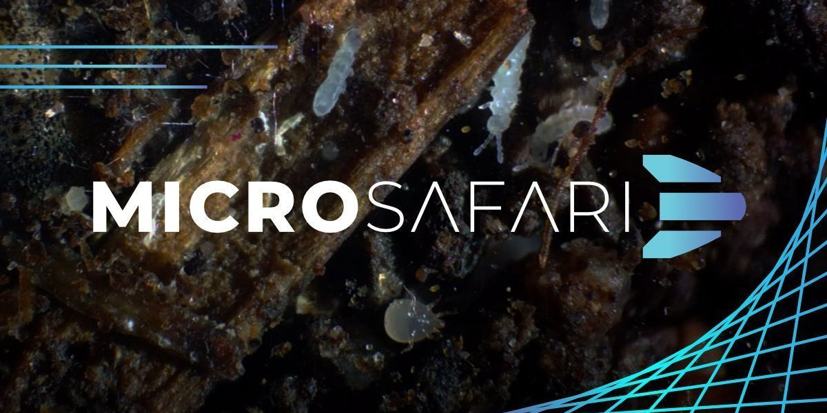 Micro Safari | Micro Safari - Microscopy Products and Education!