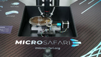 Micro Safari Science Museum Exhibit | Micro Safari