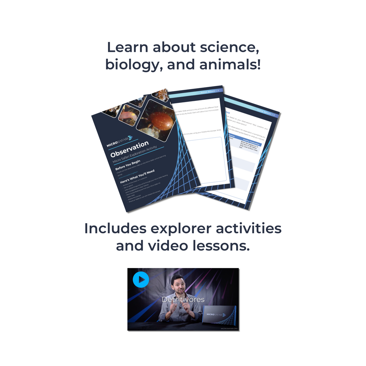 Homeschool Ecosystem Science Curriculum NGSS Aligned - Micro Safari ...