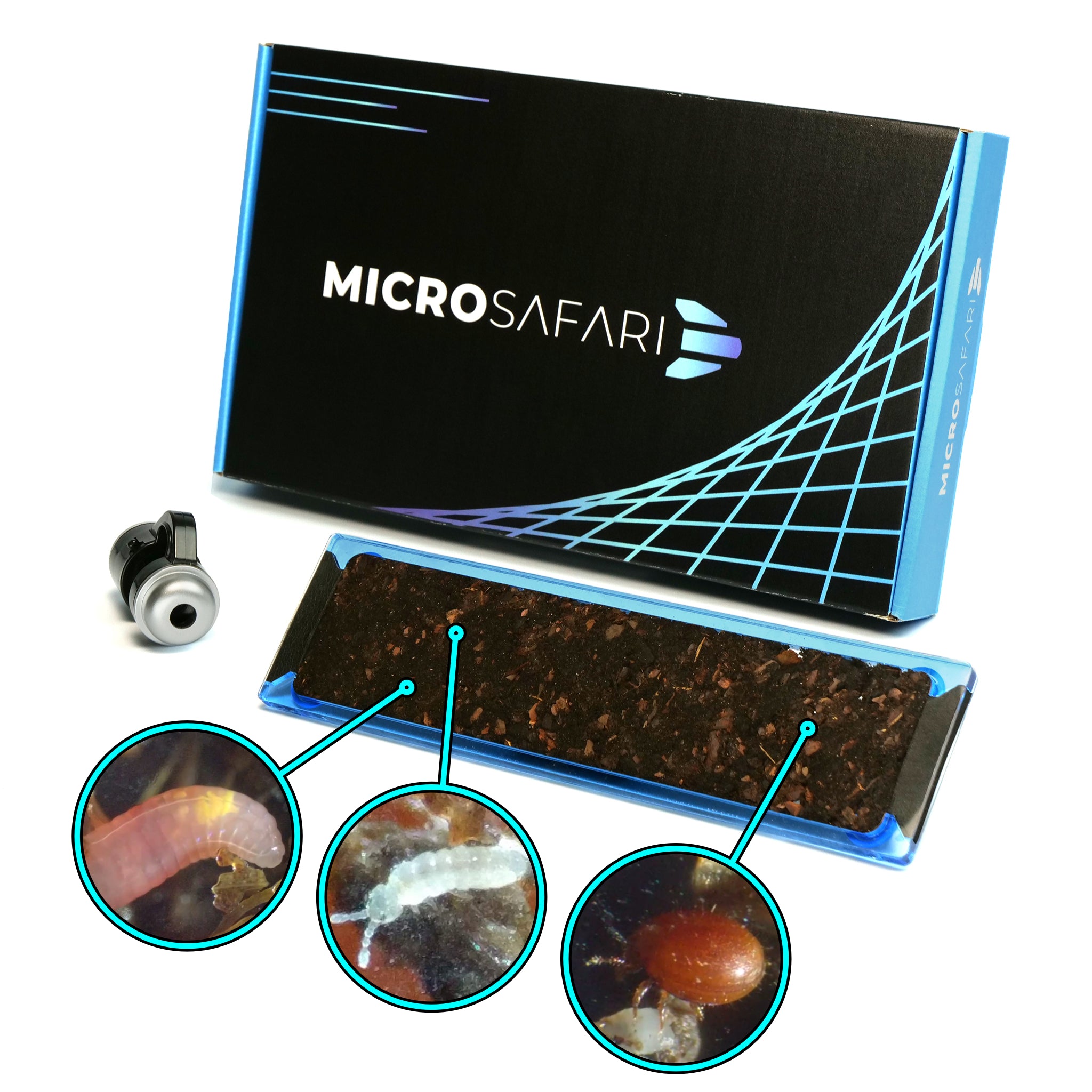 Micro Safari | Micro Safari - Microscopy Products and Education!