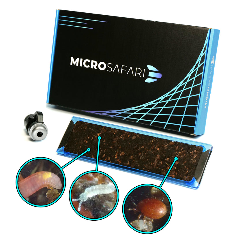 Micro Safari | Micro Safari - Microscopy Products and Education!